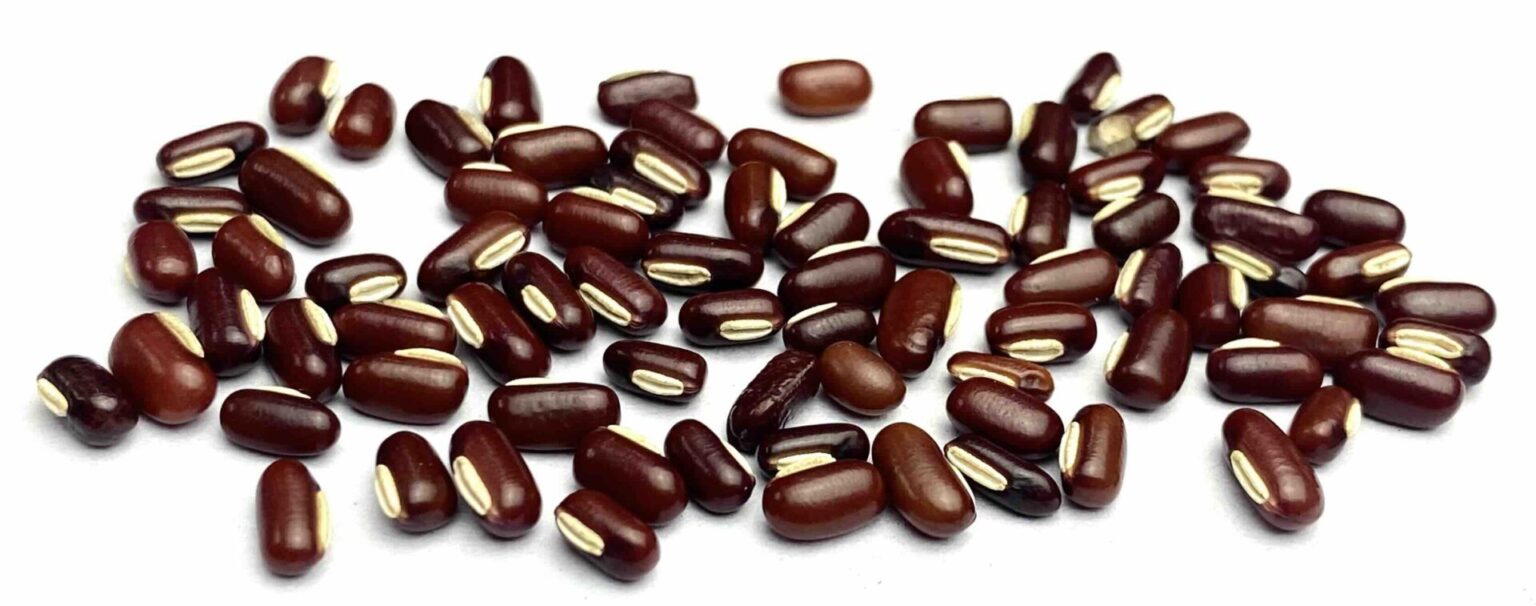 Phaseolus angularis, Chi Xiao Dou - Medicine Traditions
